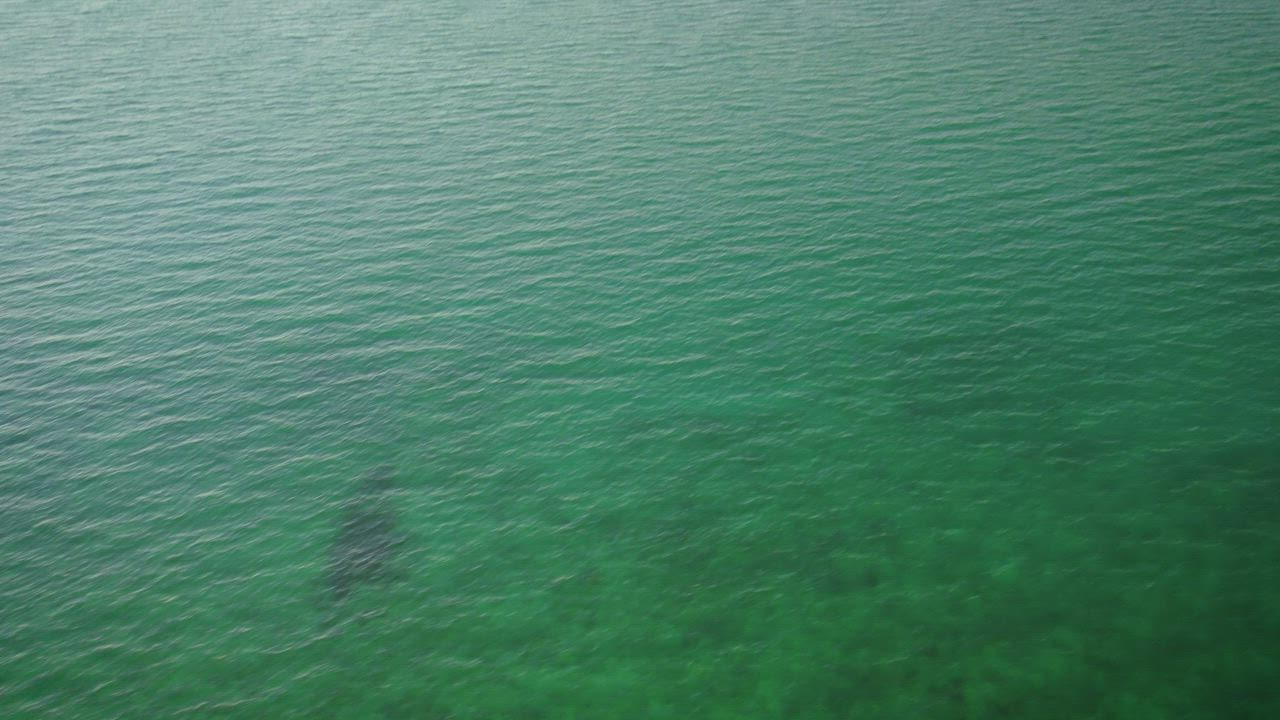 View of the turquoise blue sea from a sunny beach - Free Stock Video