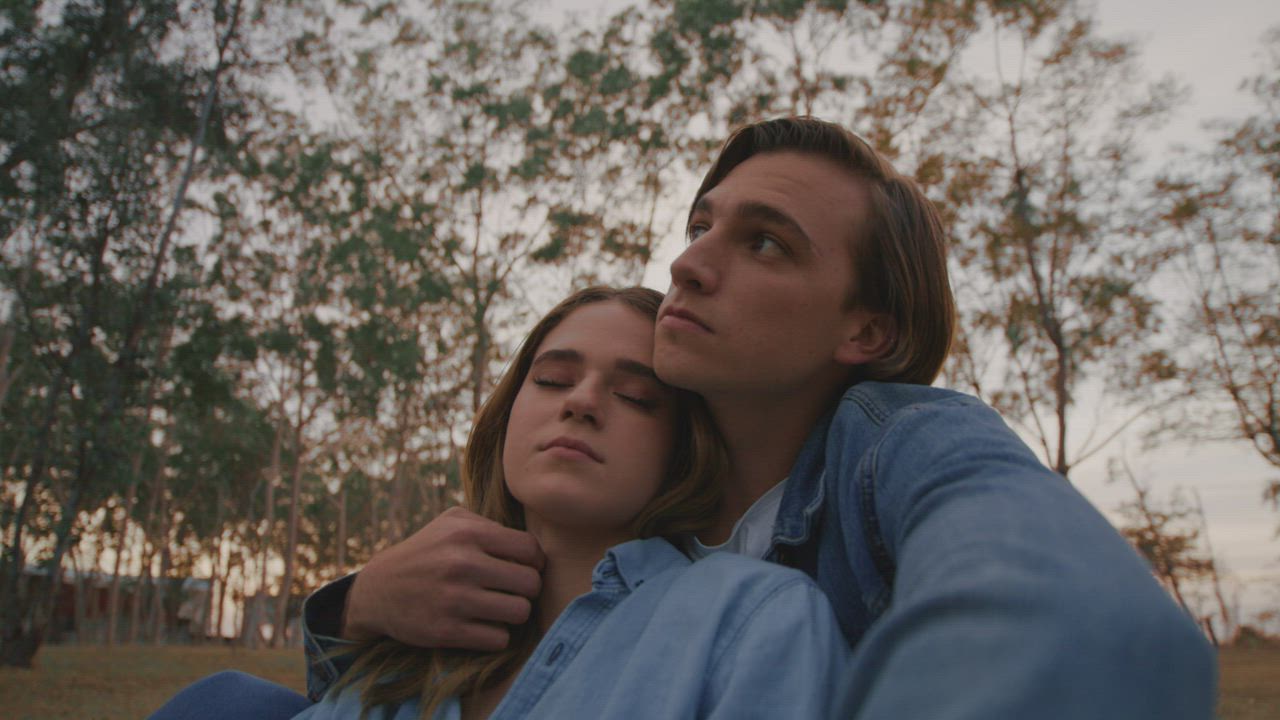 Romantic couple sitting on the grass in a forest - Free Stock Video