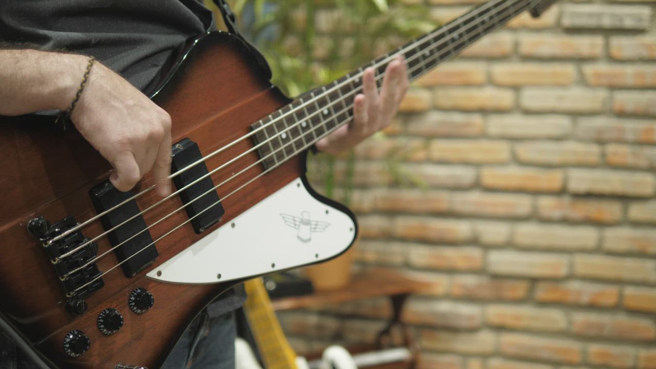 Bass guitarist playing - Free Stock Video