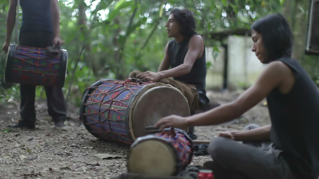Drummers at the jungle - Free Stock Video
