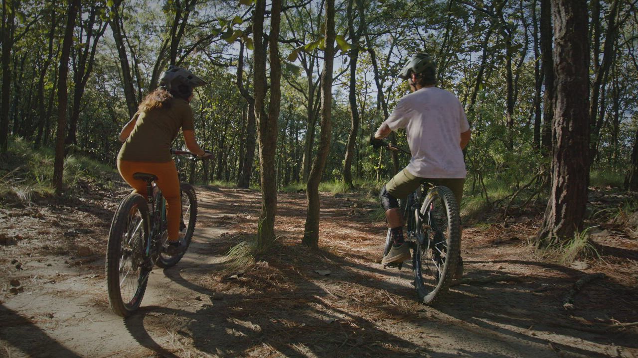Two cyclists riding through a forest - Free Stock Video