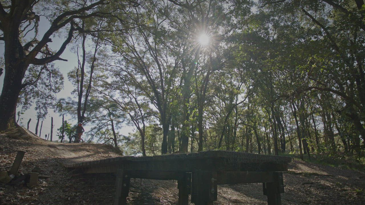 Mountain biker doing a platform jump in the woods - Free Stock Video