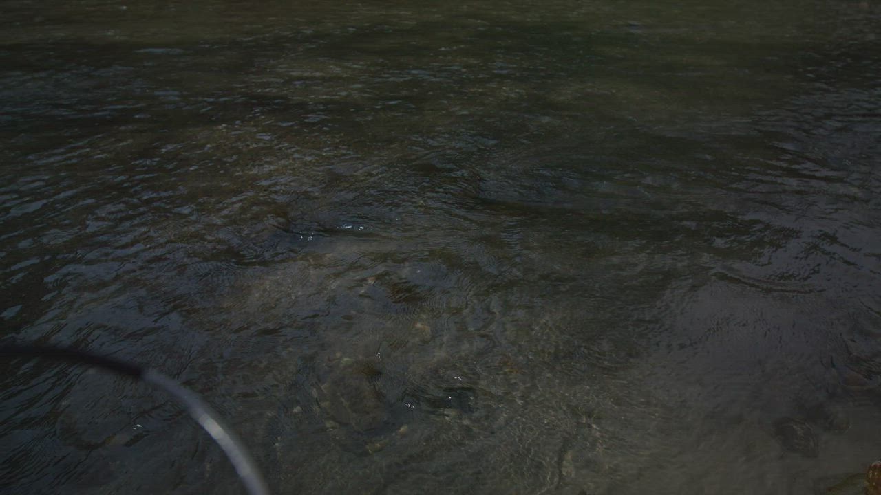 A couple of people running across a river - Free Stock Video