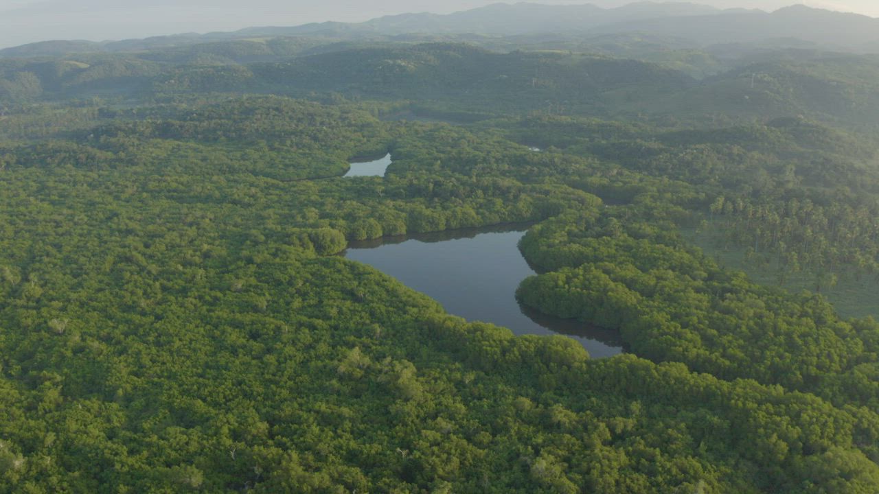 Aerial shot of a natural environment covered with trees - Free Stock Video