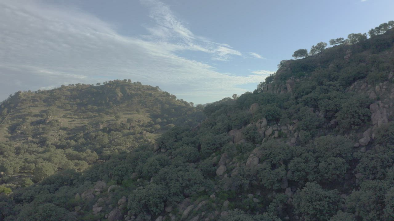 Aerial landscape of a rocky natural ecosystem - Free Stock Video