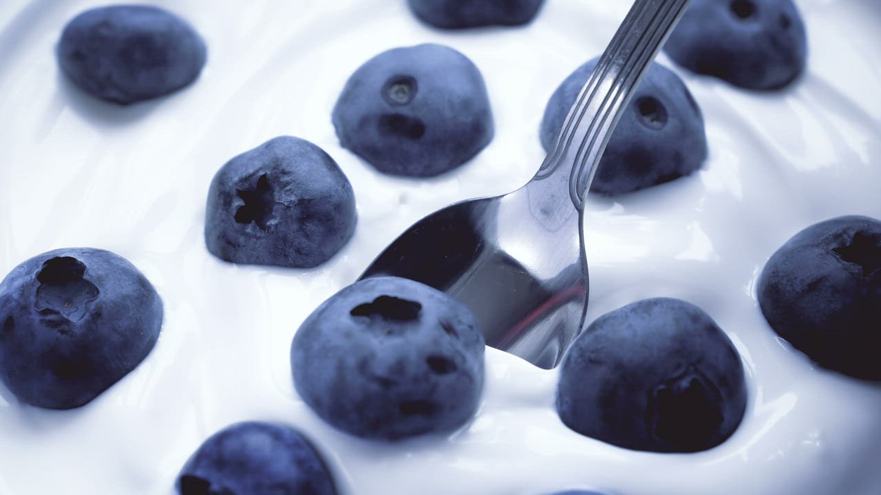 A bowl of thick creamy yoghurt sprinkled with plump blueberries - Free ...