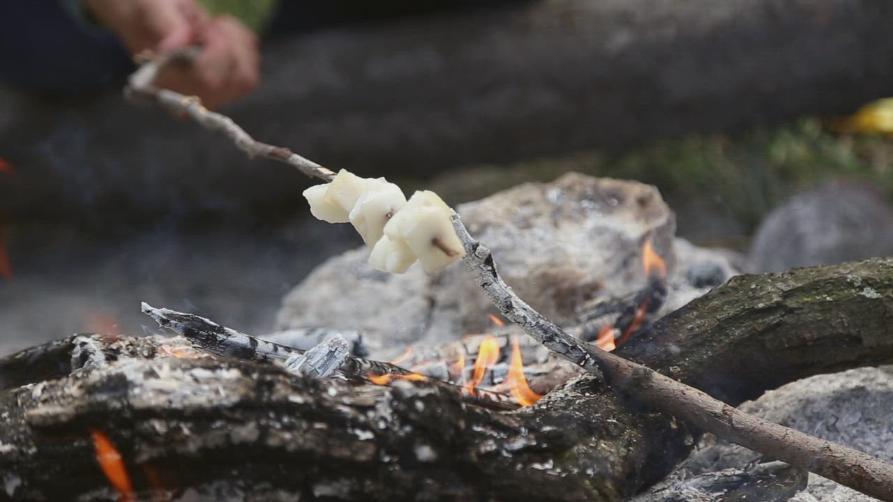 Cooking food over a campfire on sticks - Free Stock Video