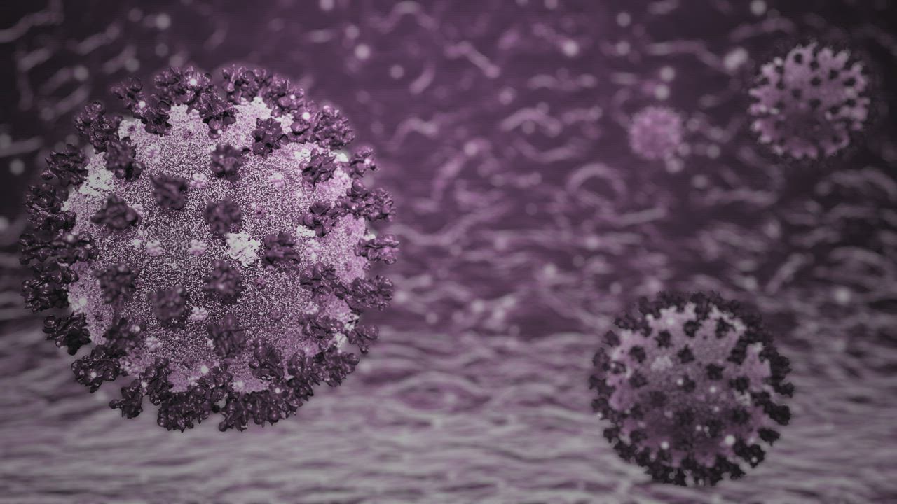 Animated depiction of a bacterial disease - Free Stock Video