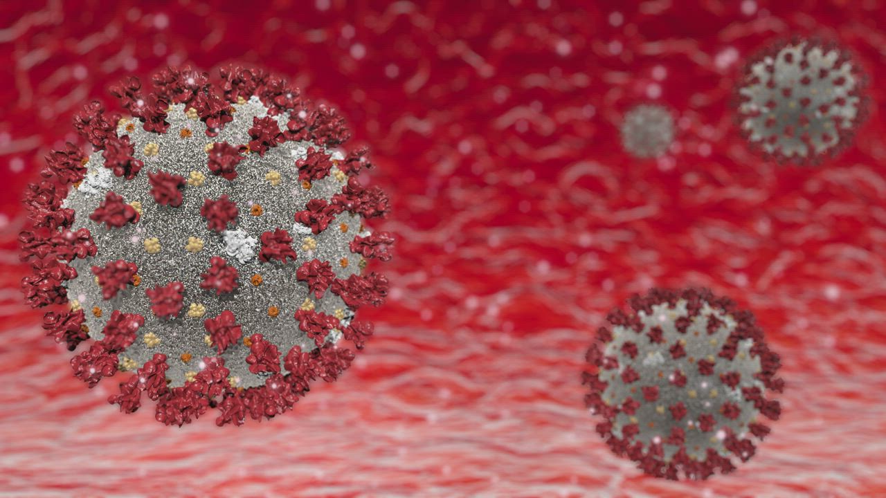 Realistic microscopic view of a disease - Free Stock Video