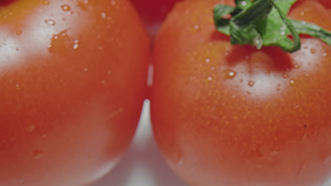 Close up of tomatoes sprayed with water - Free Stock Video