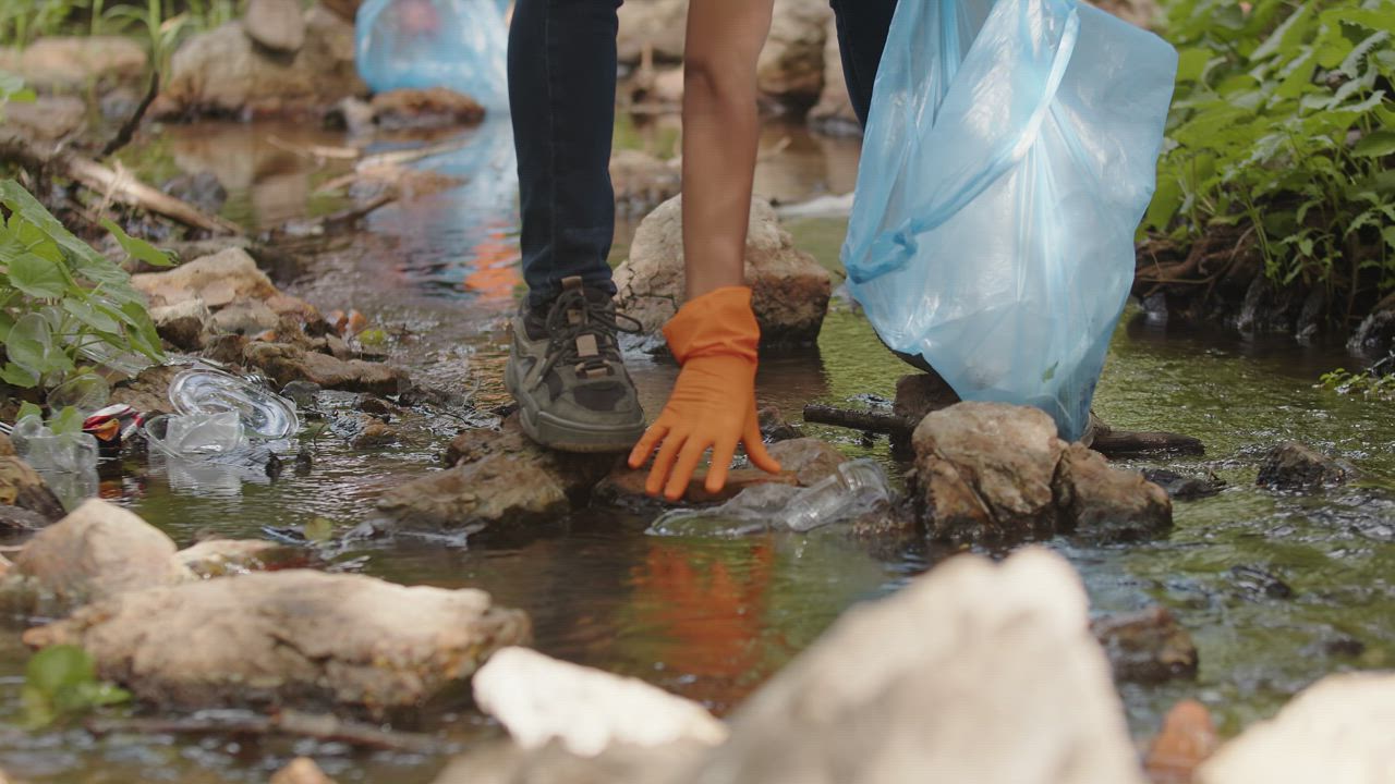 Volunteer fishing rubbish out of a waterway - Free Stock Video