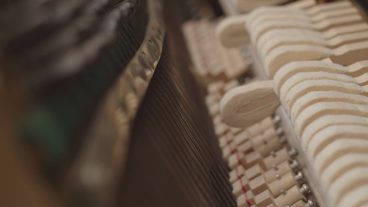 The movements of keys from inside a piano - Free Stock Video