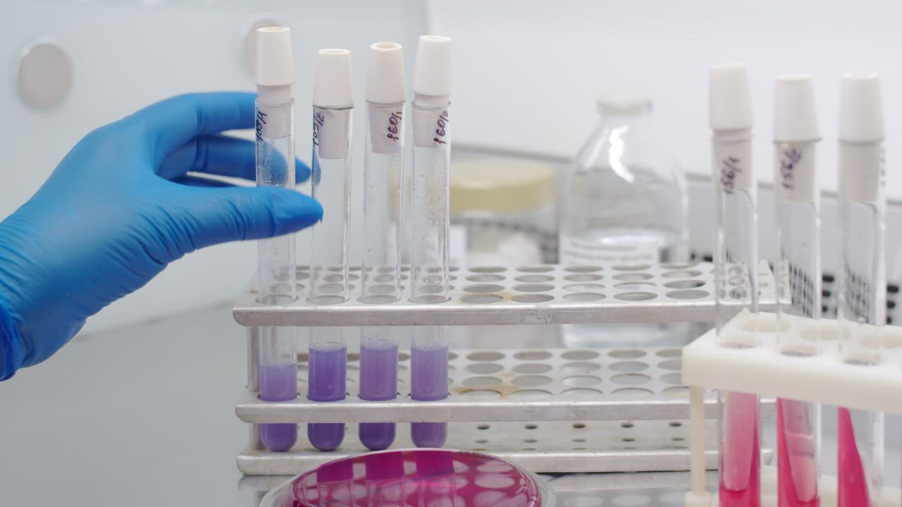Scientist moving a test tube from a stand for examination - Free Stock ...