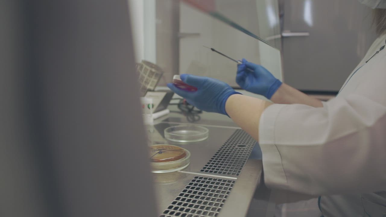 Scientist taking a sample from a Petri dish on a lab - Free Stock Video