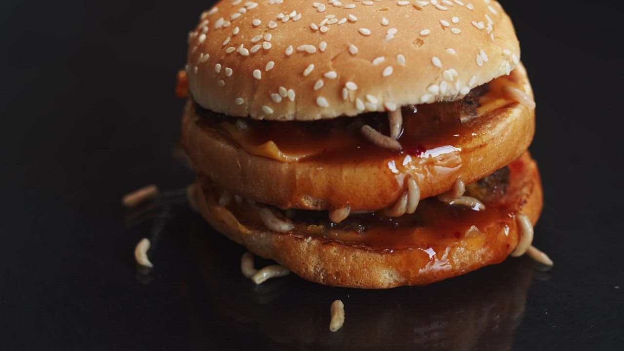 Rotating video of a disgusting maggot-infested burger - Free Stock Video