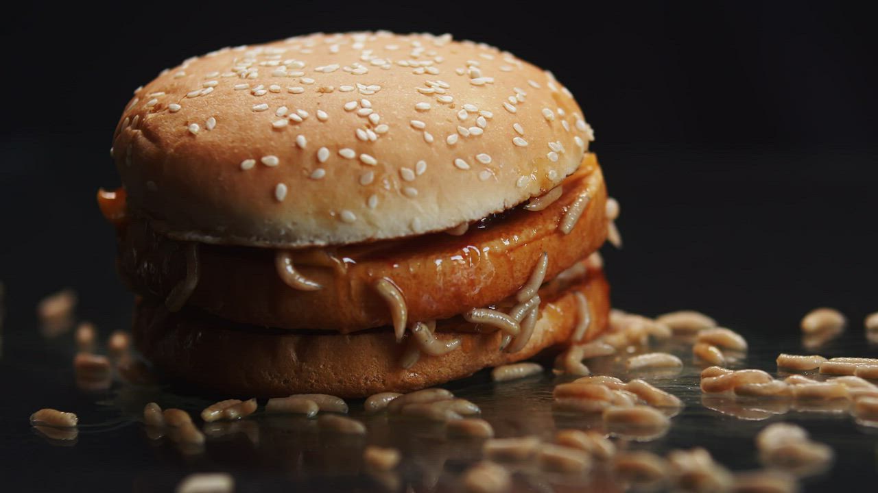 Old burger covered in maggots - Free Stock Video