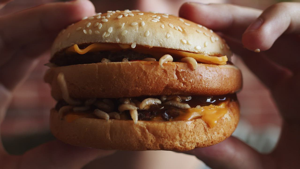 Man holding a burger infested with large maggots - Free Stock Video