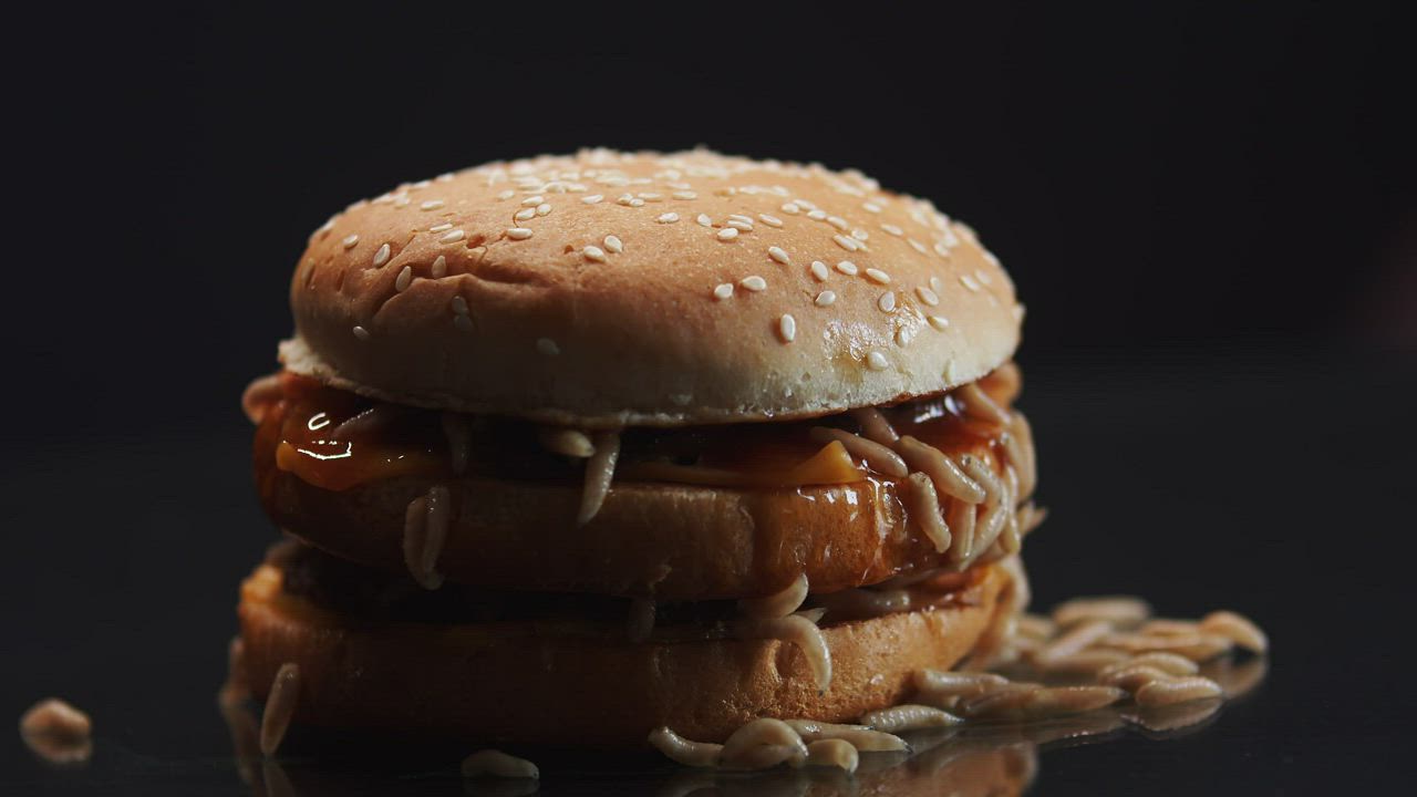 Disgusting maggot covered cheeseburger - Free Stock Video