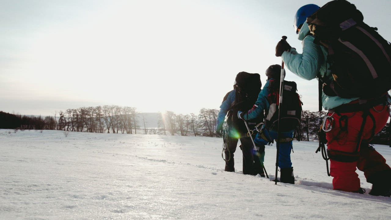 Group of hikers trekking through the snow in winter - Free Stock Video