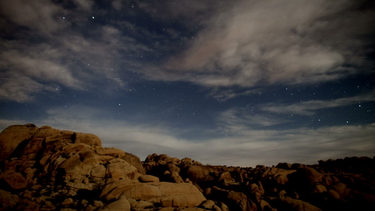 Landscape of a Joshua tree desert at night - Free Stock Video