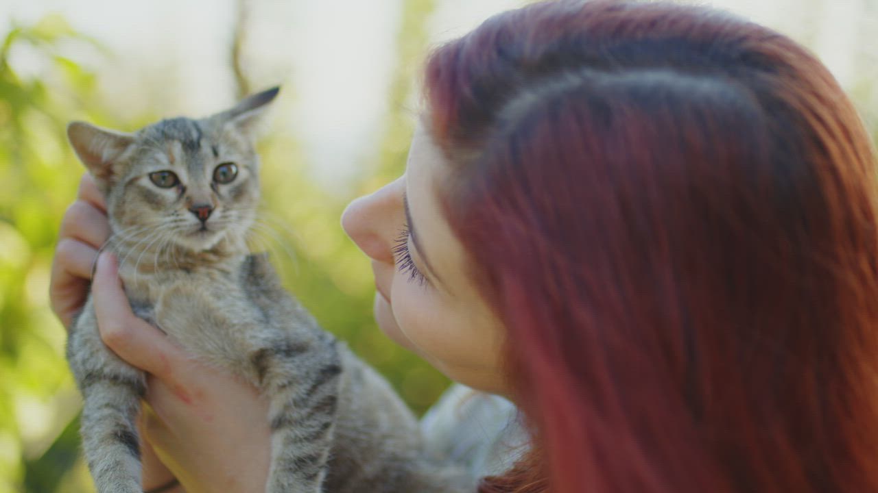 Woman holding a cat and patting it in the park - Free Stock Video