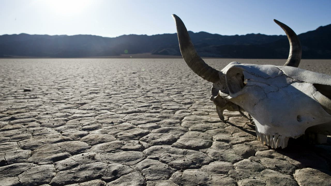 Remains of a skeleton over a dry and cracked floor - Free Stock Video
