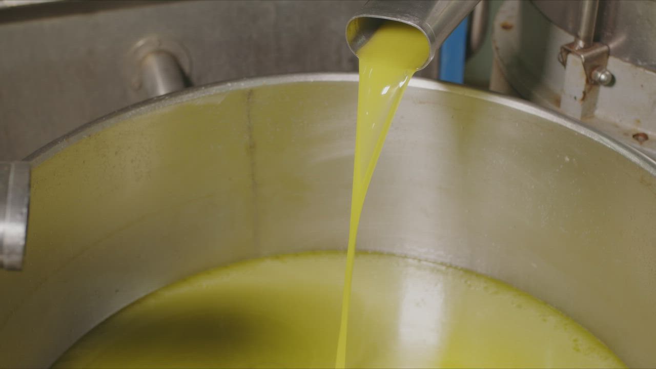 Cold-pressed oil extraction from olives in a factory - Free Stock Video