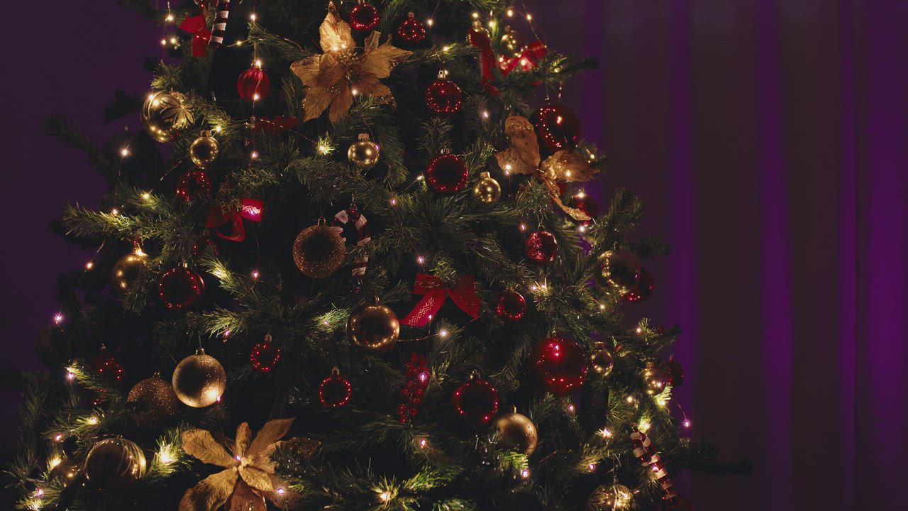 Twinkling christmas tree with purple background - Free Stock Video