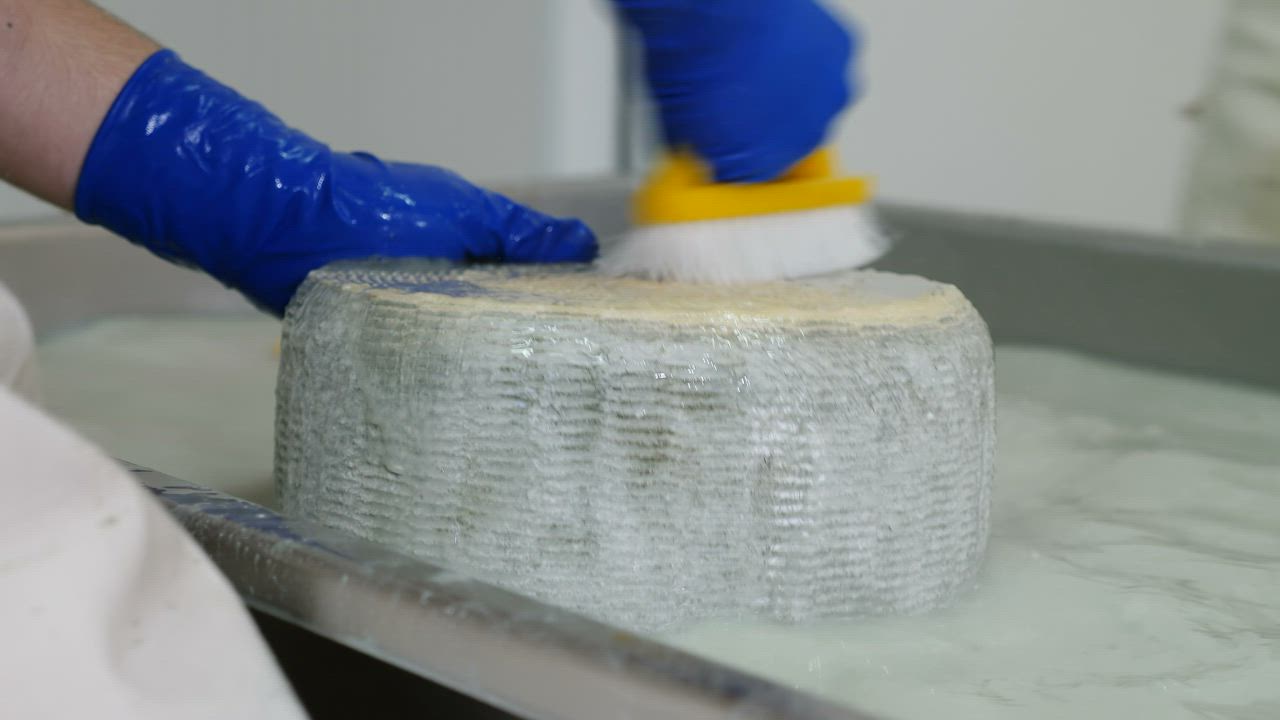 Scrubbing cheese rind in cheese factory - Free Stock Video