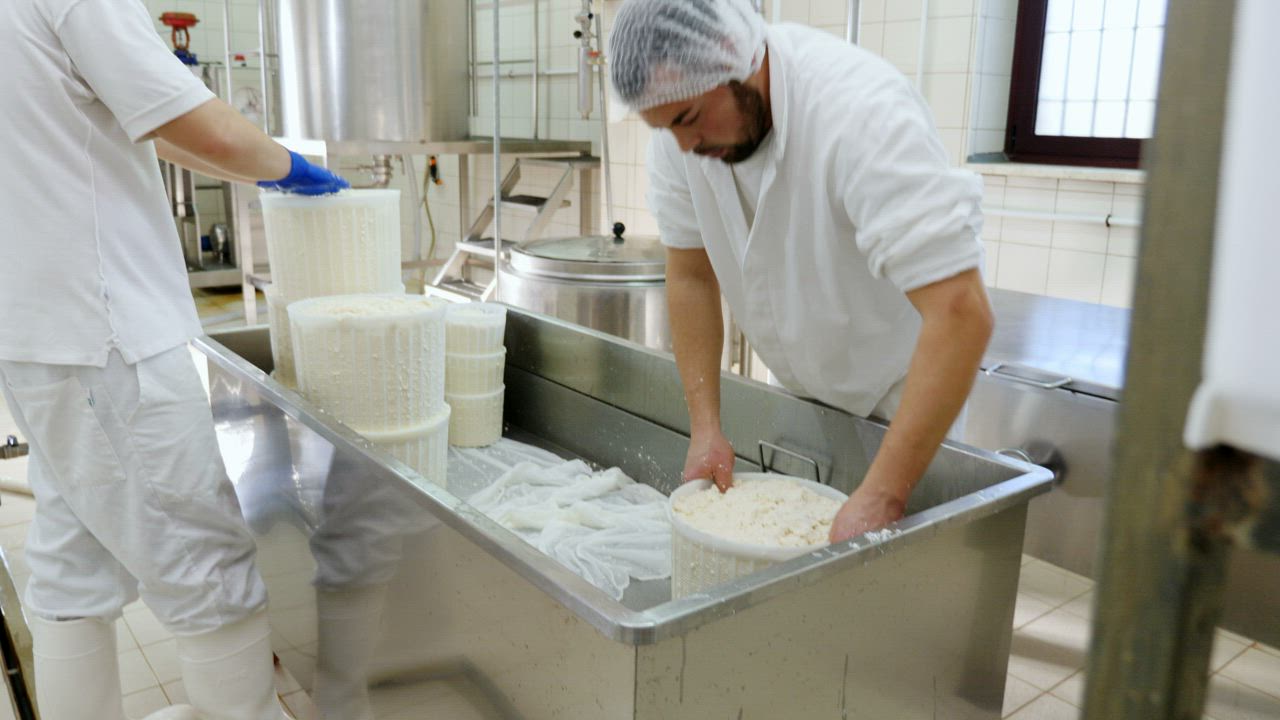 Cheese factory works stacking cheese - Free Stock Video