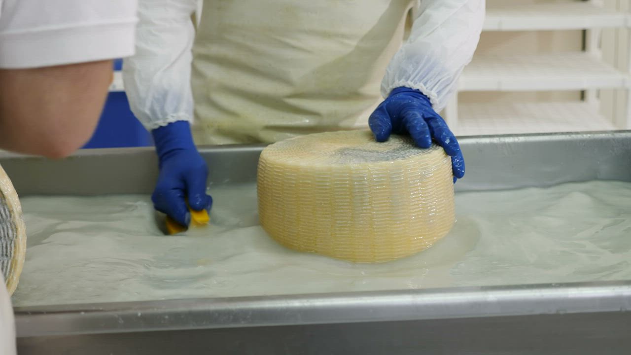 Washing and scrubbing cheese in a factory - Free Stock Video