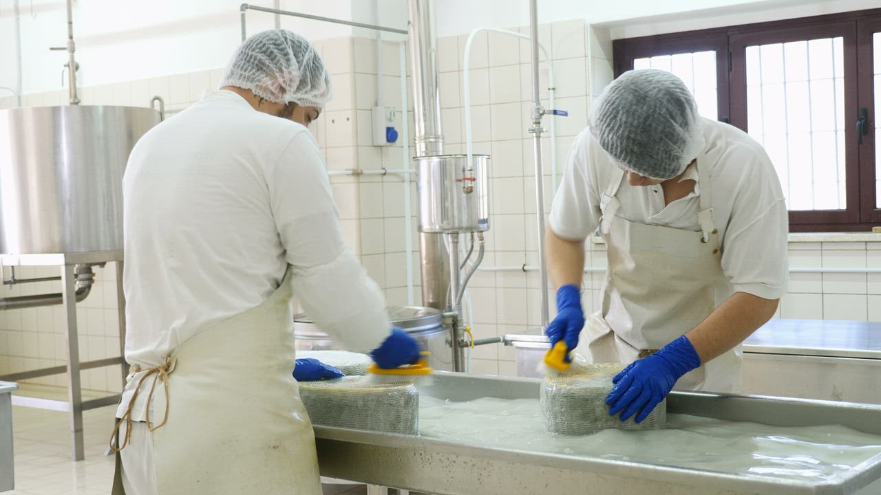 Cleaning cheese rind in a tub of water - Free Stock Video