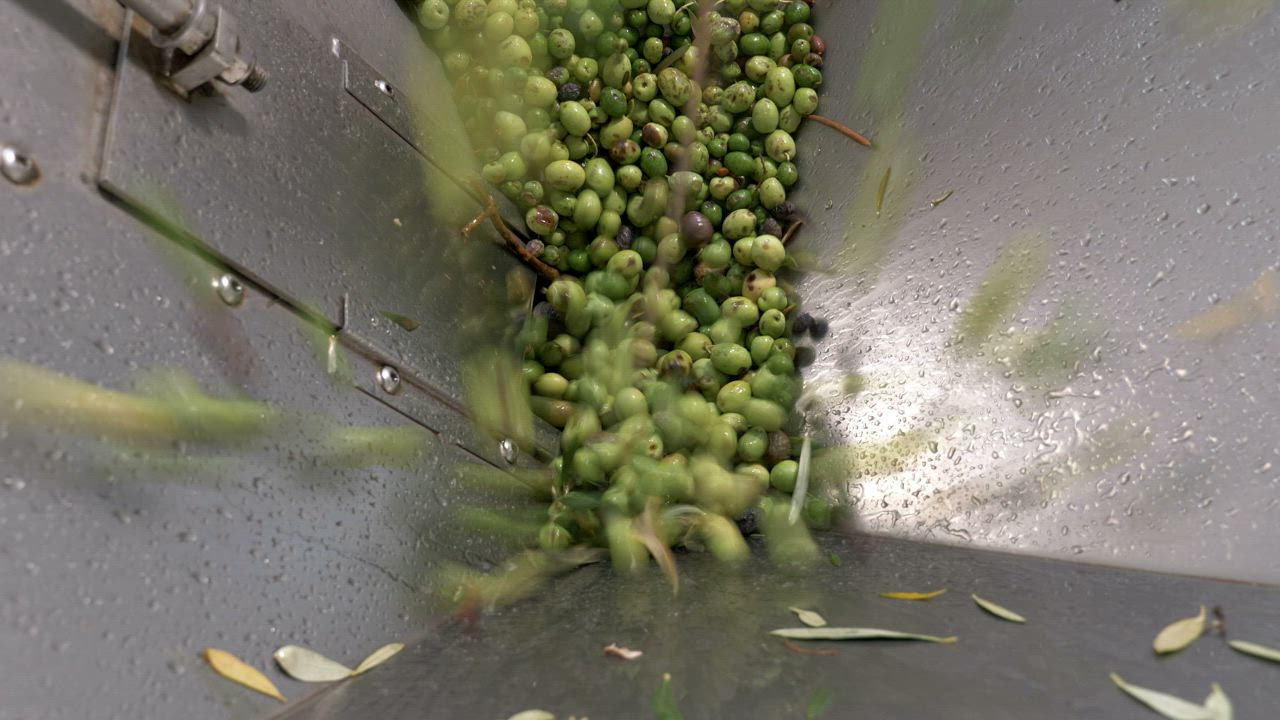 Top view of olives pouring in to a crushing machine - Free Stock Video