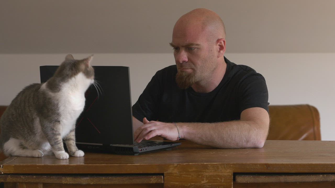 Man works at home on laptop with cat - Free Stock Video