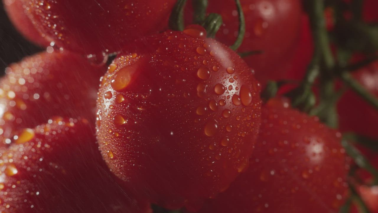 Tomatoes with water drops - Free Stock Video