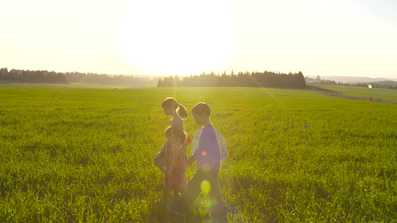 Brothers walking in a field dreaming together at sunset - Free Stock Video