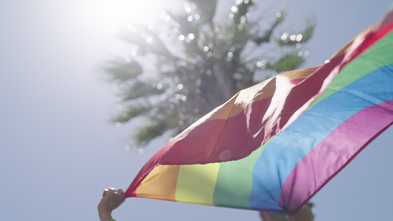 Rainbow flag waving during a pride parade - Free Stock Video