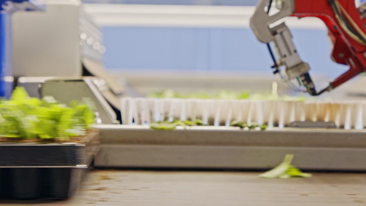 Planting process using advanced robotics - Free Stock Video