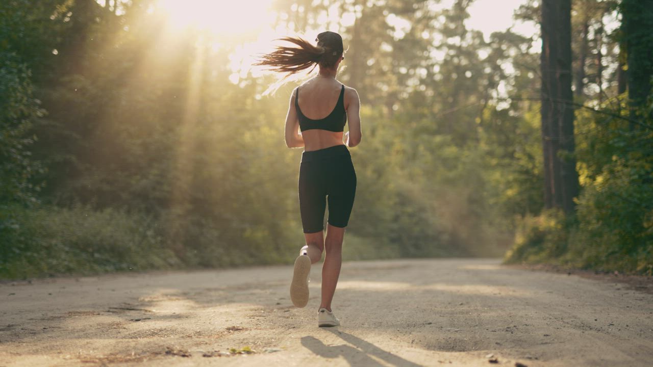 Girl running a rally through the forest - Free Stock Video