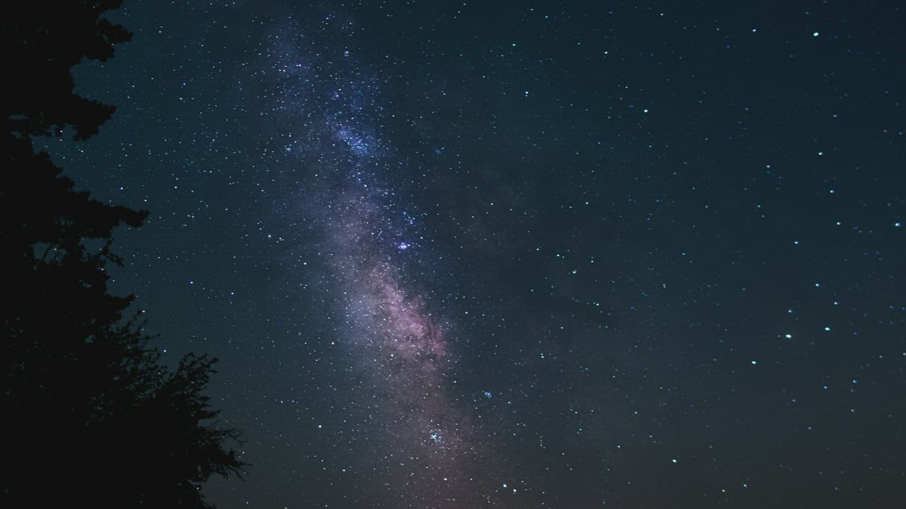 Interstellar view from the forest - Free Stock Video