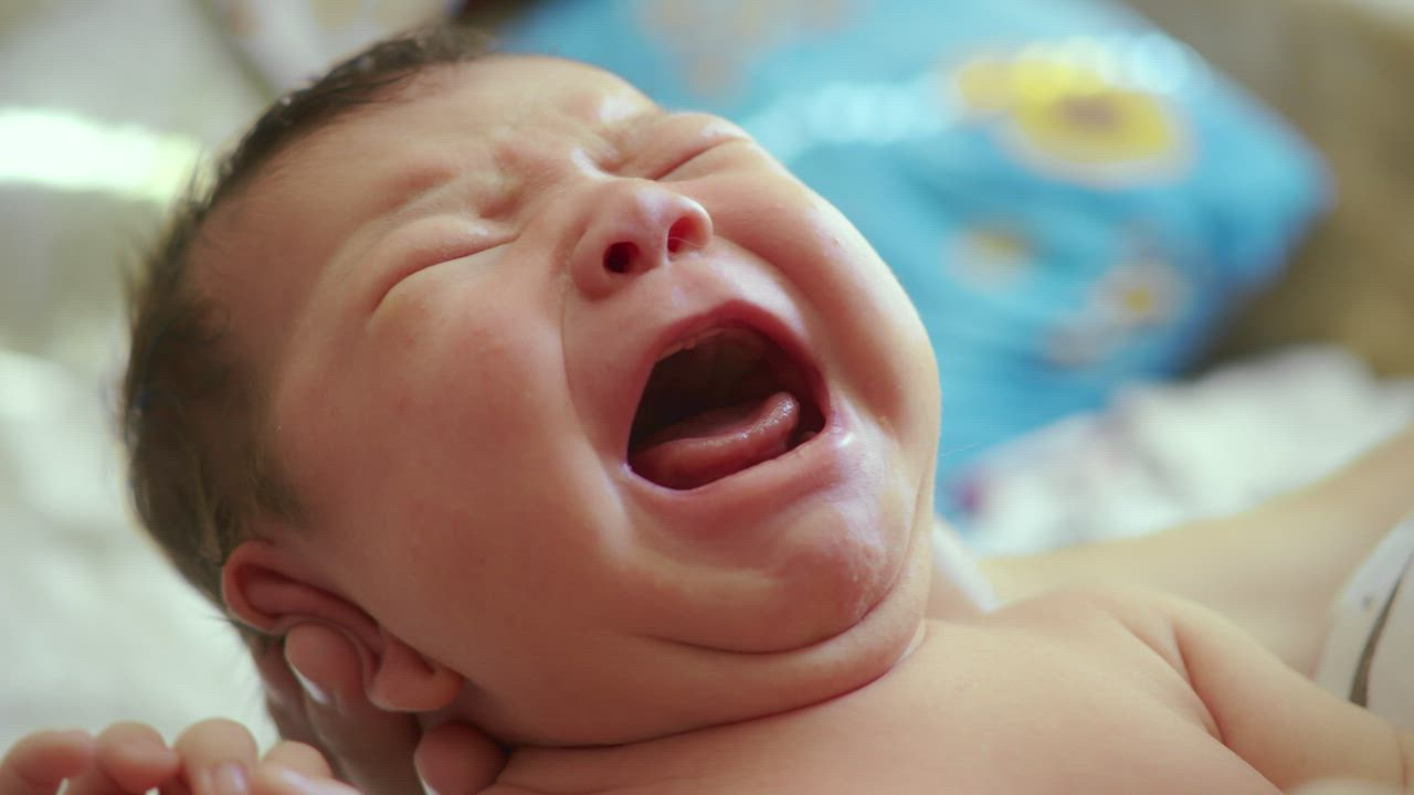 New born baby screaming in its mother's arms - Free Stock Video