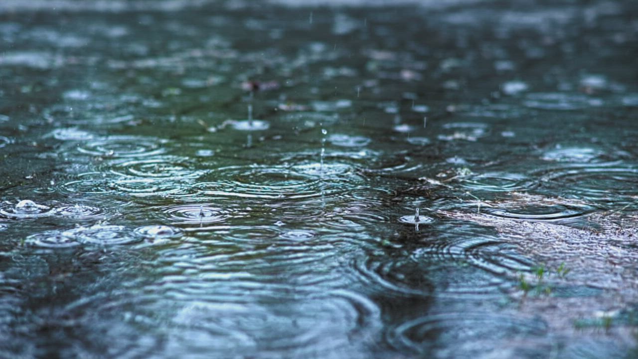 Drops of rain falling on the street - Free Stock Video