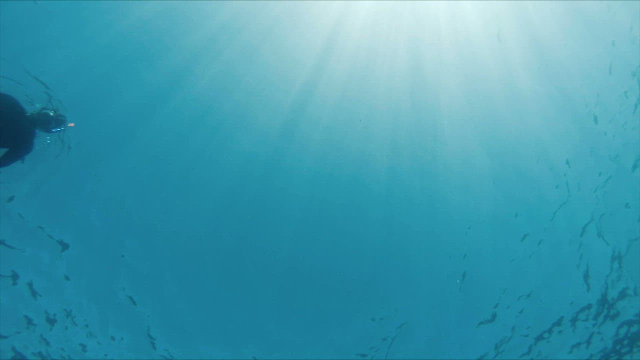 Diver snorkelling in open blue water - Free Stock Video
