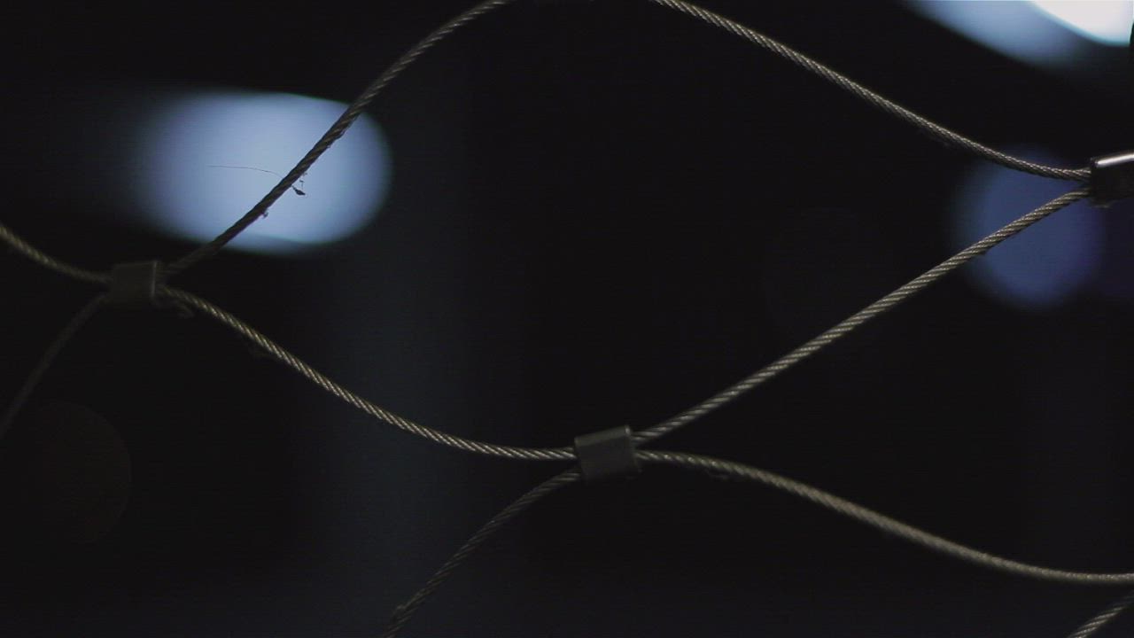 Close up of hand touching a wire fence - Free Stock Video