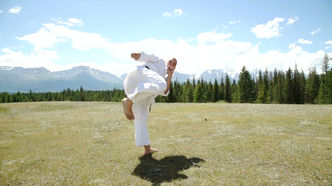 Man performing a fighting stance on an open field - Free Stock Video