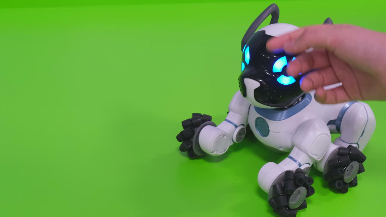 Hand petting a robot dog - Free Stock Video