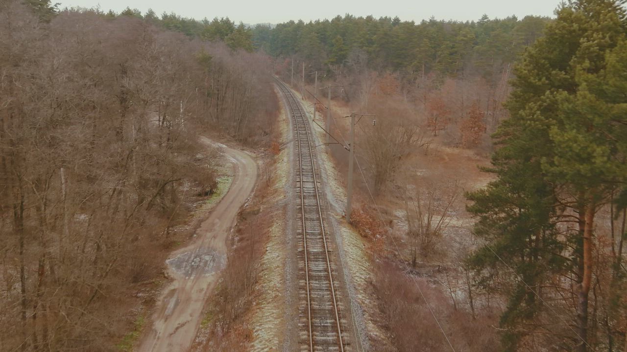 Railroad track in the middle of a forest - Free Stock Video