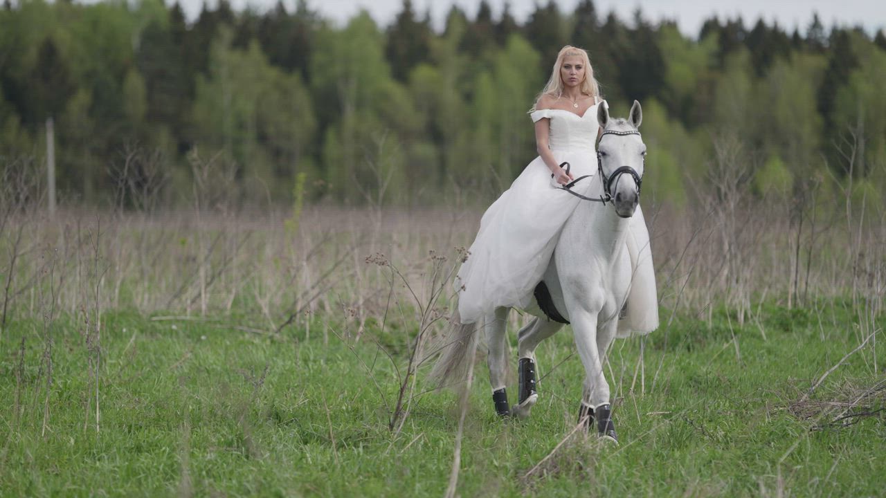 Girl in a white dress riding a white horse - Free Stock Video