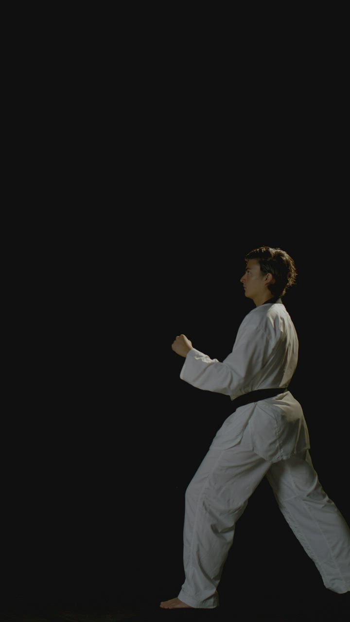 A young karateka woman performs a karate kick - Free Stock Video