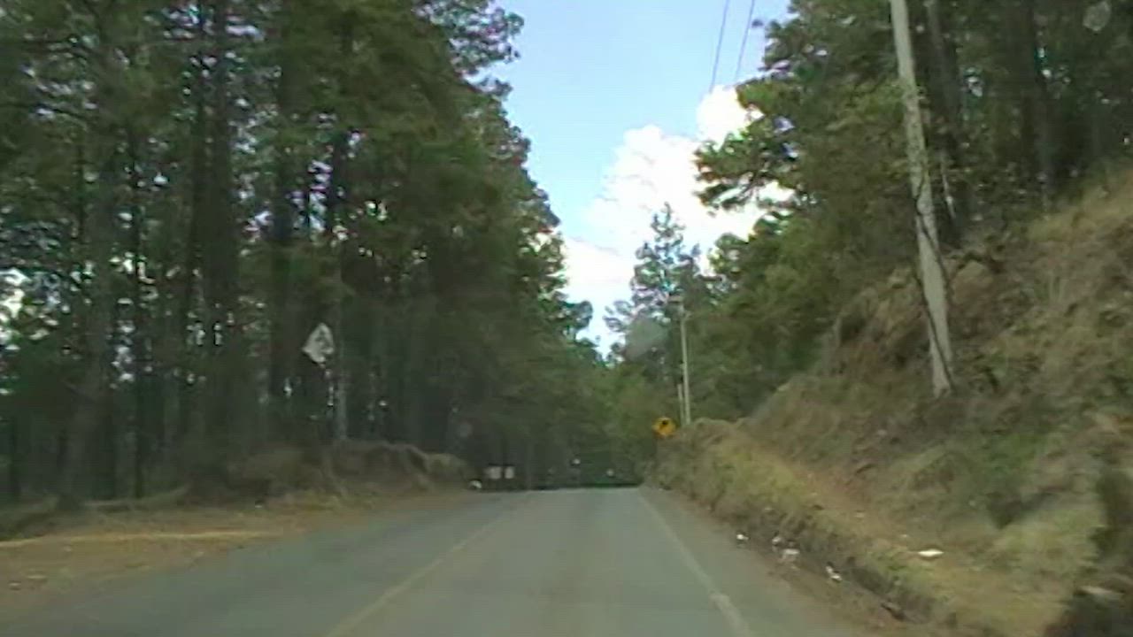 Point of view traveling on a path in nature - Free Stock Video